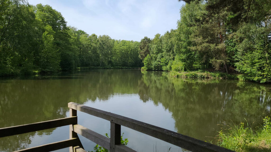 Teich Deutsch-Evern - Lüneburger Angelsportverein e.V.